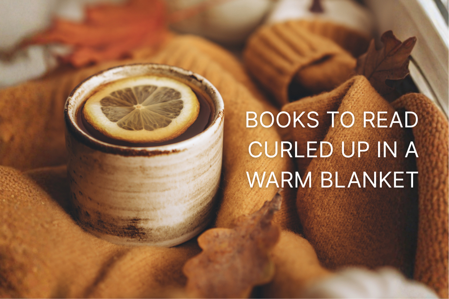 Books to Read Curled up in a Warm Blanket – Agenda Bookshop